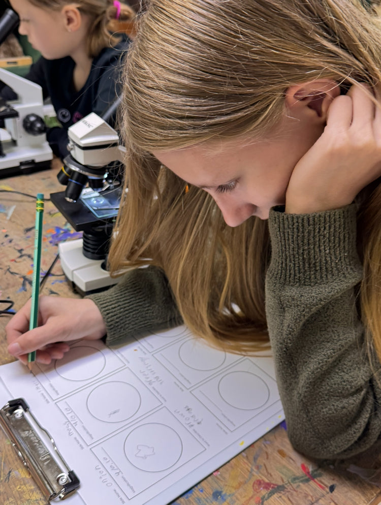 SCIENCE SKETCHING: WHY DRAWING BUILDS BETTER OBSERVERS – Tanglewood Hollow